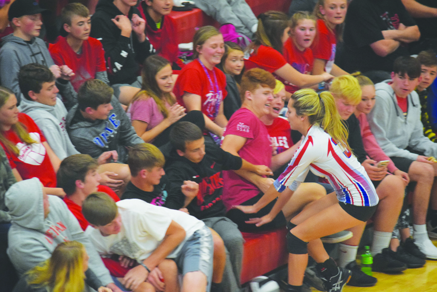 In five sets, Lady Indians capture Division IV sectional championship ...