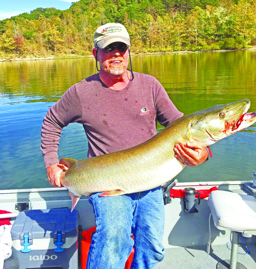 A really big fish story | People's Defender