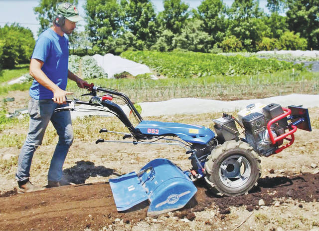 Making Fluffy Dirt - Improving your garden soil | People’s Defender