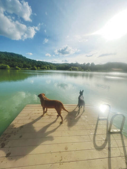 It’s summertime in Adams County! | People’s Defender