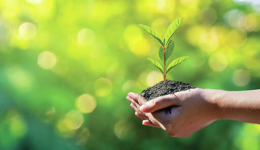 AEP Ohio shares tips for tree planting this spring | People’s Defender