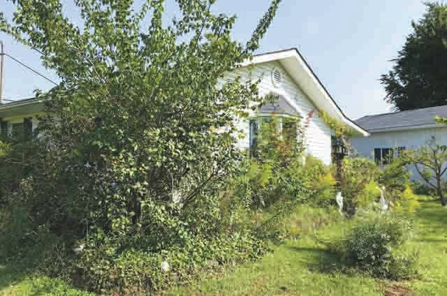 Top 10 Landscape Mistakes | People’s Defender