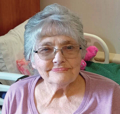 Dorothy Lee Collins | People’s Defender